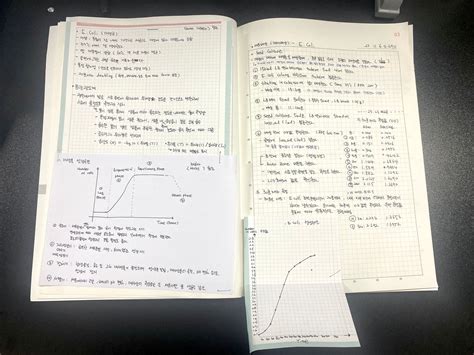 비긴랩ㅣ취업의 길이 열리는 실무부트캠프🚀