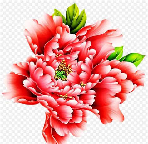 粉色牡丹花朵手绘PNG图片素材下载 图片编号yankalpm 免抠素材网