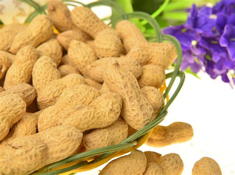 飞沙土沙土沙土飞溅第9页大山谷图库