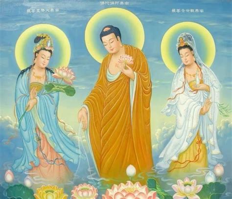 Ghim C A Chanaiporn Puttaruksa Tr N Trong T N Gi O