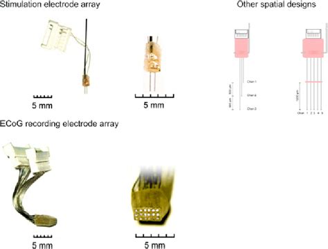 Electrode Array Designs A Depth Array 2 X 1 For Intracortical Download Scientific Diagram