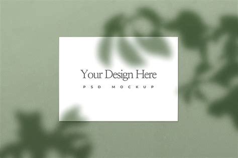 여름배경 트로피컬 프레임 여름컨셉의 백그라운드 유토이미지 상세페이지 베이직샵 그래픽 21305305