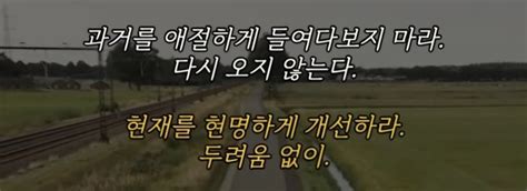 두려움과 고통 역경은 긍정적 감정이 결코 따라갈 수 없는 강력한 동기 부여 요소다 아무런 걱정도 고통도 스트레스도 없는 삶이 행복할 것 같지만 그런 삶에는 동기부여도