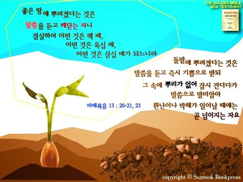 황금성경구절 샬롬 여러분은 어떤 씨 입니까 어떤 마음 밭을 가졌습니까 우리는 환경이 좋지 않은 것을 탓하고 상황을 탓하지만 사실은 스스로 그럼 밭을 만들어