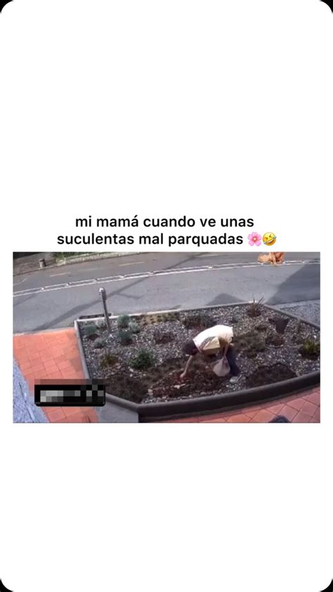 El Colombiano Seguir Elcolombiamor 👈 Instagram