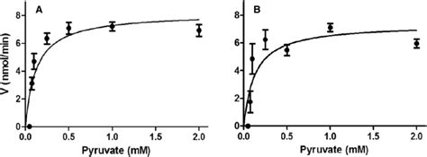 Michaelis Menten Kinetic Analyses Of Pyruvate Using The Hplc Method A