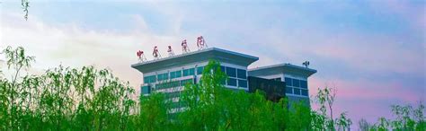 中原工学院2019年普通本专科招生章程发布赶紧来看看吧 搜狐大视野 搜狐新闻