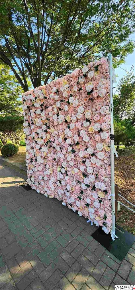 고려대 조화포토존 시공