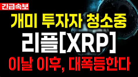 리플 전망 개미 털기중입니다 이때까지는 버티세요 Youtube