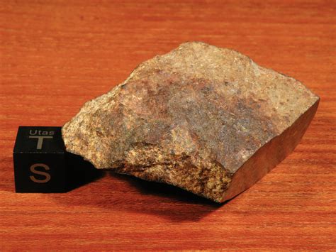 What Do Meteorites Look Like Meteorite Gallery