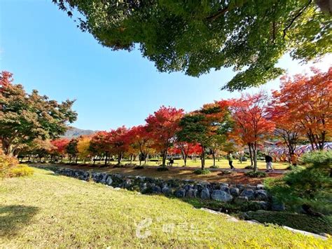 [e 빠른뉴스 포토] 내장산 단풍생태공원 풍경 1