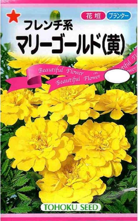 Au Pay Gardener S Shop Ivy Au