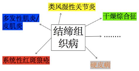 【医学科普】什么是结缔组织病？摊牌了！疾病人体狼疮