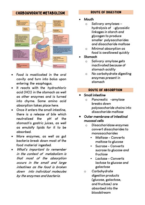 SOLUTION Biochemistry Carbohydrate Metabolism Studypool