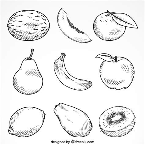 Realistic Fruit Outline Images Free Download On Freepik