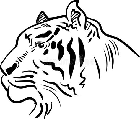 Tiger Stock Vector Illustration Of Female Bengal Head 95521007