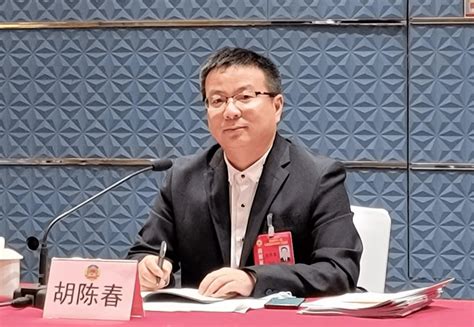 委员风采胡陈春履职尽责 为科技创新建言献策 企业 永嘉 制造业