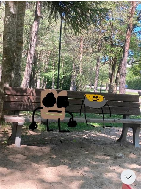 What Bfdi Character Should I Add R Battlefordreamisland