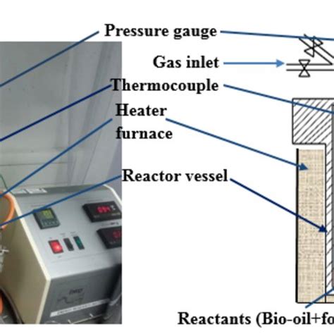 Components Of The Batch Reactor Download Scientific Diagram