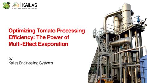 Optimizing Tomato Processing Efficiency The Power Of Multi Effect Evaporation