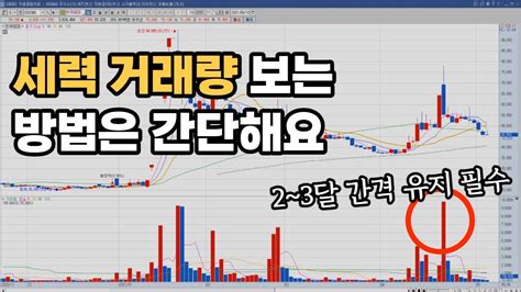 주식강의 세력 거래량 보는법 주의점 포함 Youtube