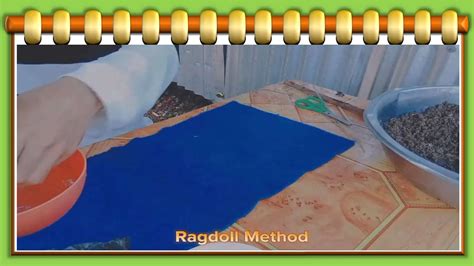 Seed Germination Testing Using Rag Doll And Seed Box Method Pptx