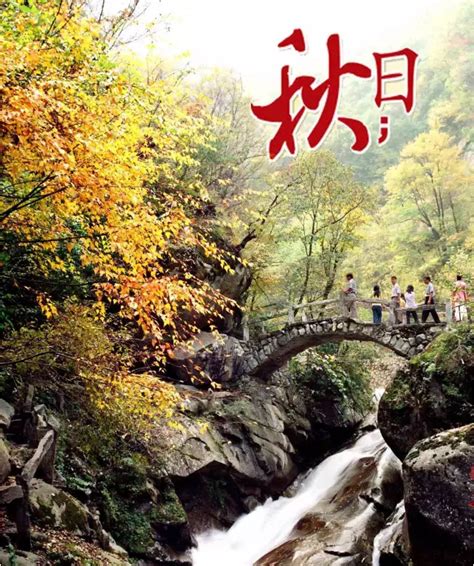 油画中的太白山，绝美 地文生物景观 太白山旅游官网