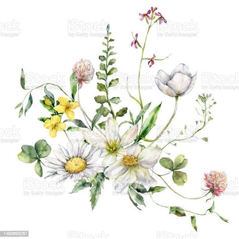 수채화 초원 꽃 꽃다발은 카모마일 미나리 아재비와 제라늄입니다 흰색 배경에 격리된 야생화의 손으로 그린 꽃 포스터 디자인 인쇄 배경에 대 한 휴일 그림입니다 0명에 대한