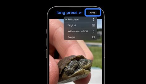 Quick Crop On Iphone Photos App How To Use In Ios 17 9to5mac