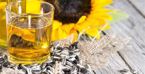 Казахстан впервые вошёл в ТОП 10 мировых экспортёров подсолнечного масла