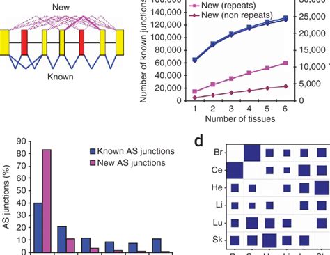 Assessing Human Alternative Splicing Complexity Using Mrna Seq Data Download Scientific