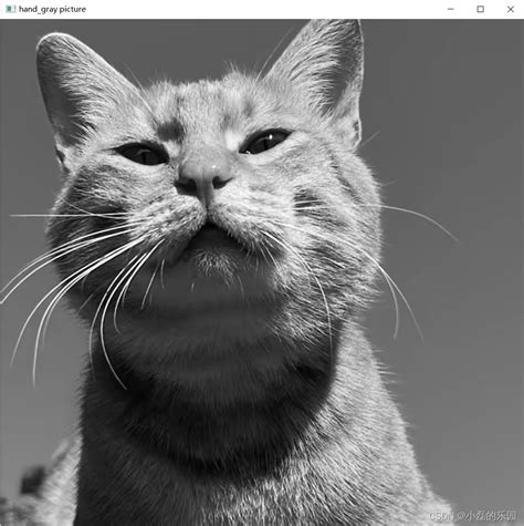 数字图像灰度化的几种实现方式sixlaborsimagesharp 灰度 Csdn博客