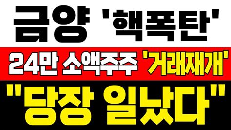 금양 주가 전망 미노출 24만 소액주주가 존재한다는건 한국거래소 이의신청 받아줄 수 밖에 없는 사유 거래재개가 될 수