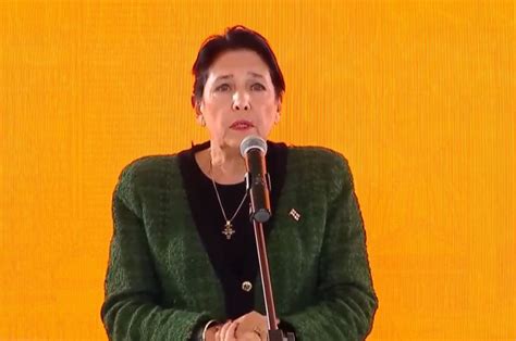 “გამარტივებას არ წარმოადგენს” პრეზიდენტი მოქალაქეობის შესახებ კანონში