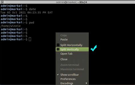 how to install terminator on ubuntu 22 04 lts markaicode
