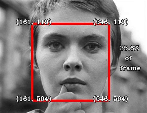 Build Opencv With Dnn And Cuda For Gpu Accelerated Face Detection By