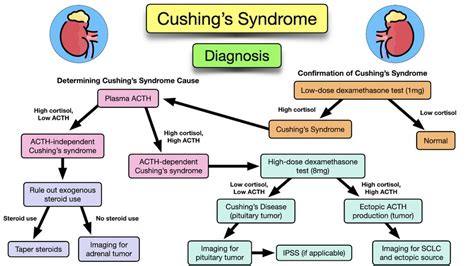 Cushings Disease Lab Findings At Kurt Riddle Blog