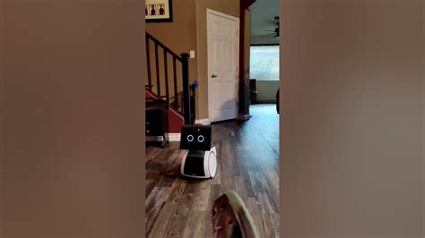 Astro Robot Funny Arrival Robot Astrorobot Astro Realrobot Robotics Amazon Youtube
