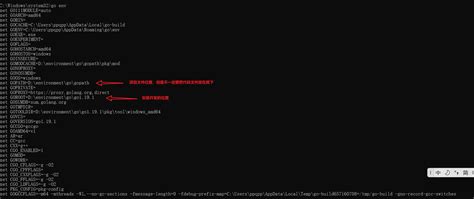 Go 入门第一课 编程环境及编译器的安装 ppqppl 博客园