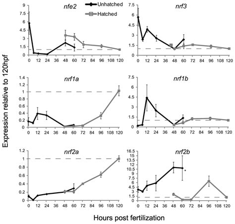 The Expression Of The Nrf Gene Family During Development As Measured By Download Scientific