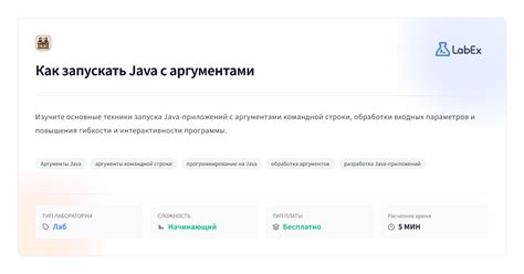 Как запускать Java с аргументами Labex