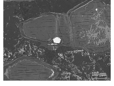 Olivine With Chromium Spinel Inclusions White Olivine Is Replaced By