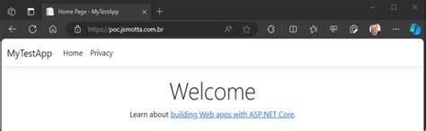 Publishing ASP NET Core 8 On IIS