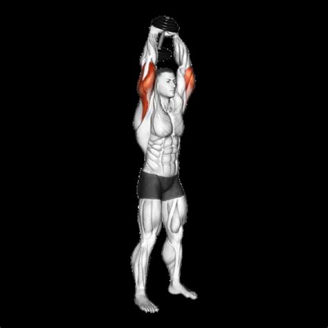 Cable Overhead Triceps Extension Guide Muscles Worked Tips Athlemove