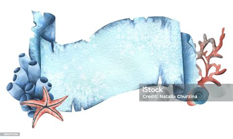 파피루스는 가장자리가 들쭉날쭉한 파란색으로 말린 두루마리 산호 조개 불가사리가 있는 텍스트 공간 손으로 그린 수채화 그림입니다 템플릿 흰색 배경에 프레임입니다 가격표에 대한