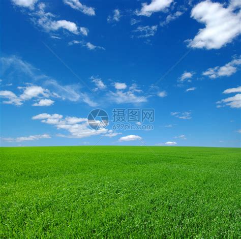 绿草场和明亮的蓝天高清图片下载 正版图片503273637 摄图网