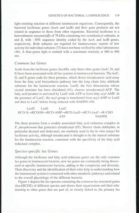 Solution Genetics Of Bioluminescent Bacteria Studypool