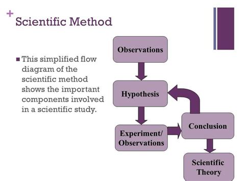 Understanding The Importance Of Flow Diagrams In Science