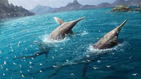 Uk Beach Unearths Triassic Fossils Of Giant Ichthyosaur Interesting Engineering