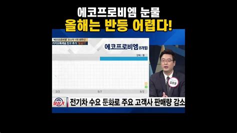 에코프로비엠 내년을 기대하자올해는 반등 기대 어렵다20240802 Youtube